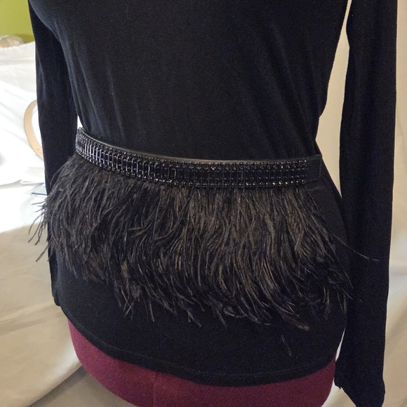 BCBGMaxAzria | Accessories | Bcbgmaxazria Black Feather Crystal Waist ...